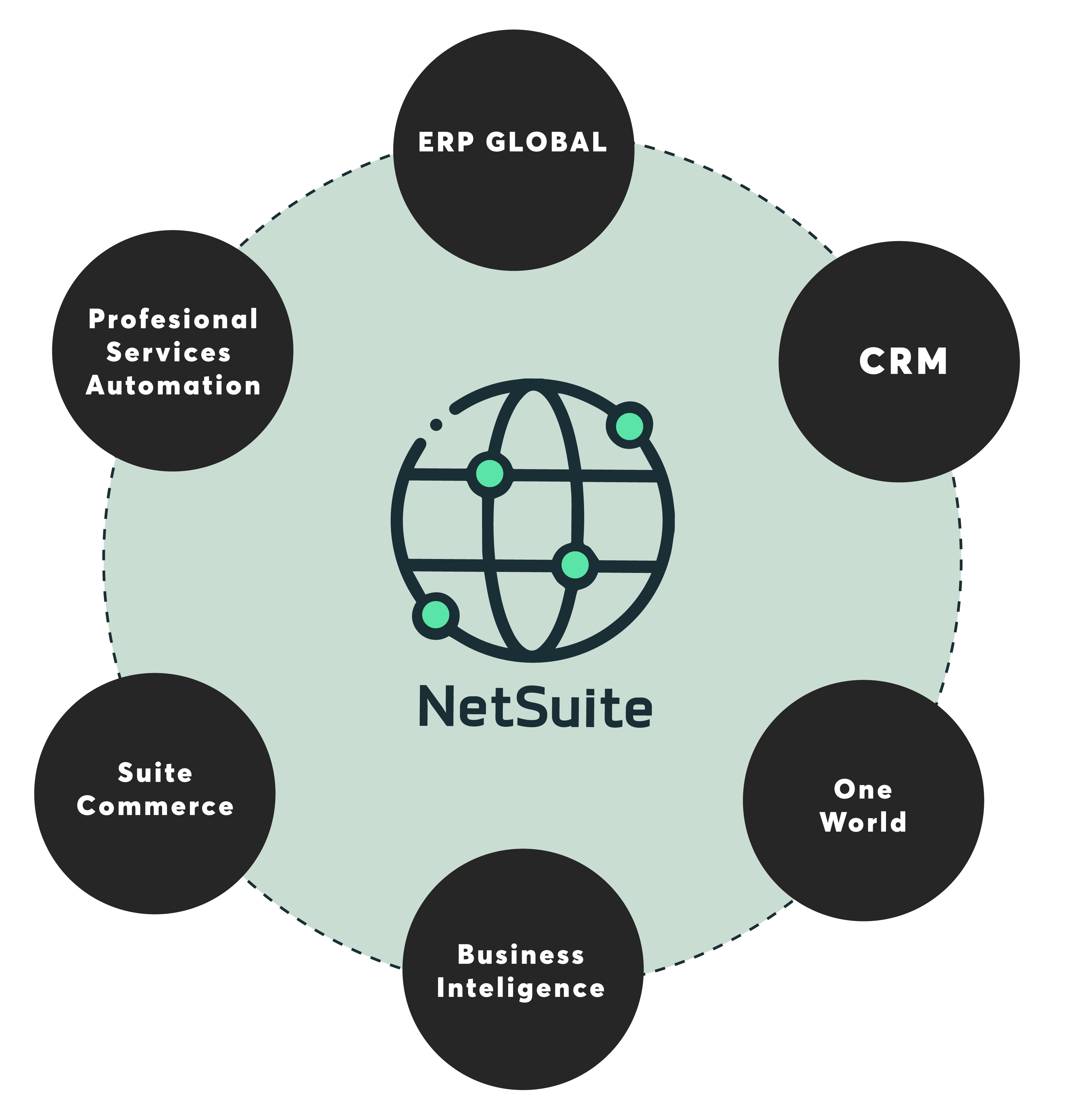 Consultoría Oracle Cloud Netsuite y Ebs